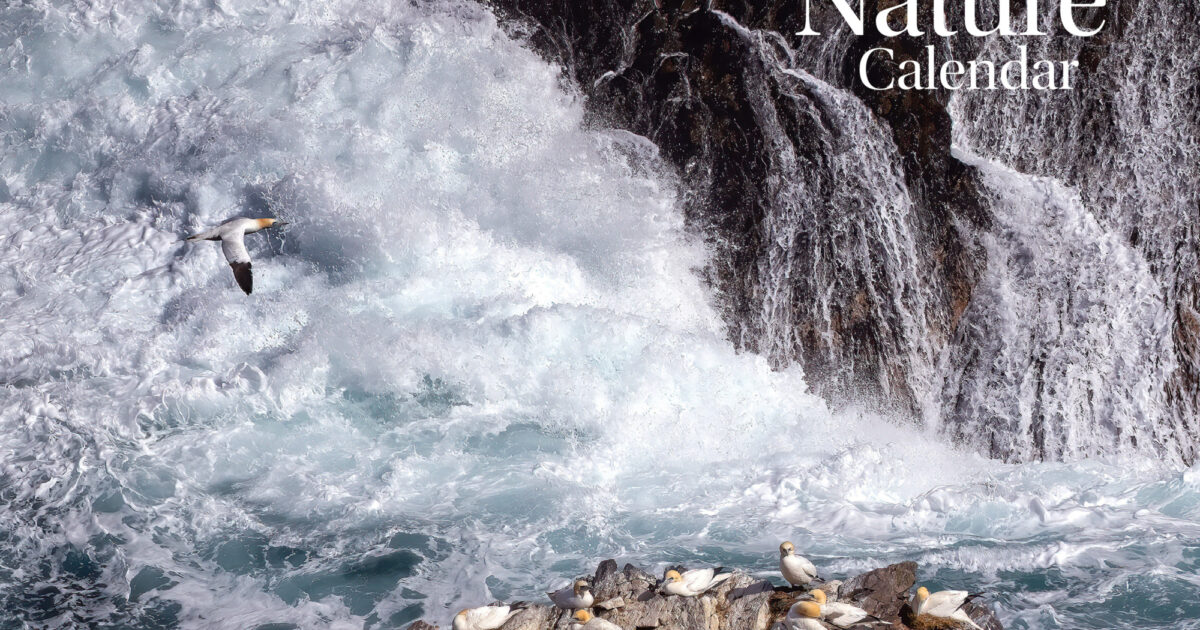 Wild Nature Diary & Calendar 2025 | Calendar