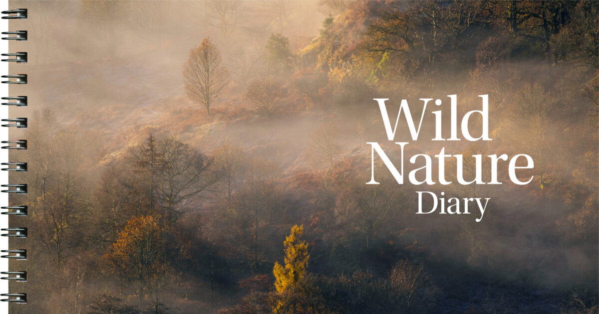 Wild Nature Diary & Calendar 2024 | Diary